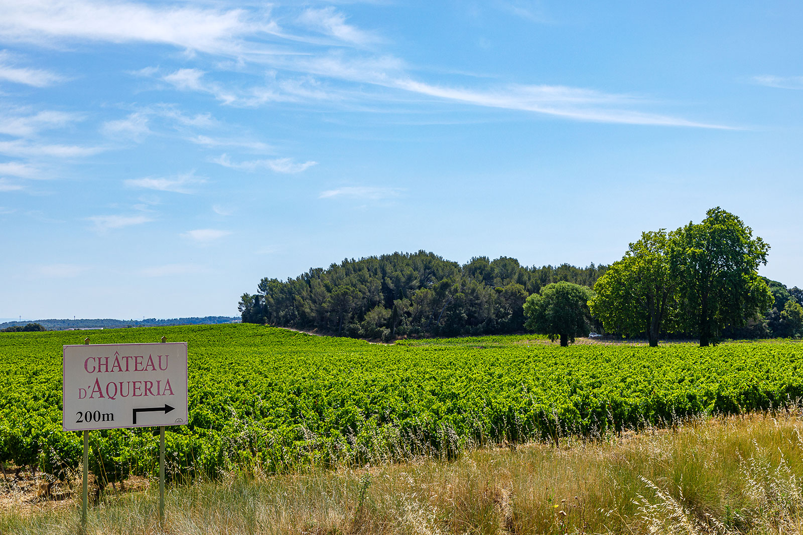 Wine Tourism At Château D Aqueria Visit The Cellars And Tours Around